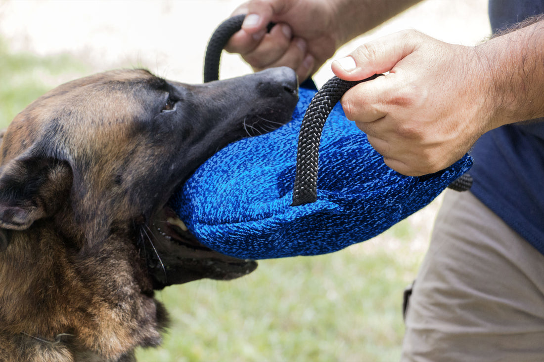 Professional Working Dog Gear – Viper K9